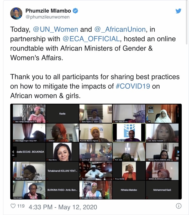 African Union WGDD Specialised Technical Committee on Gender Equality ...